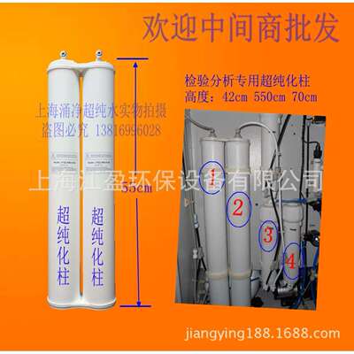 超纯化柱10寸纯化树脂滤芯18.25兆纯水柱除水无机物阴阳离子滤芯