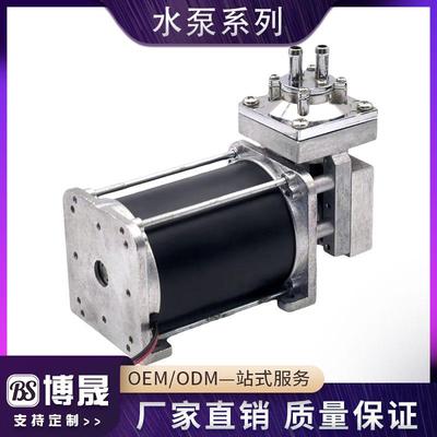 现货 洗头机头疗仪用水泵 真空24V活塞双气水泵循环电动水泵