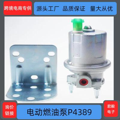 厂家现货直供 康明斯电动燃油泵 12V P4389 4020503 SP8109