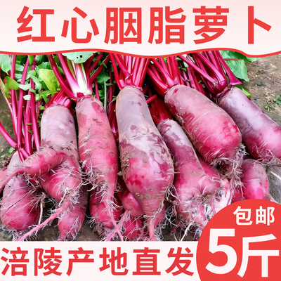 重庆涪陵红心胭脂萝卜现挖现发