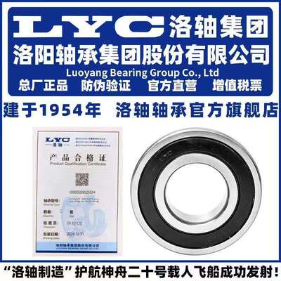 LYC 洛阳轴承集团 6016 6017 6018 6019 6020 6021 6022 E 2Z 2RZ