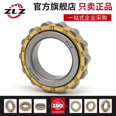 哈尔滨ZLZ圆柱滚子轴承 RN 312 219 222 228 328