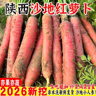 陕西水果红萝卜新鲜生吃透心红