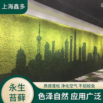 永生苔藓墙有机草坪室内挂件装饰绿植墙仿真花枯山水造景苔藓