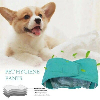Male Dog Physiological Pants Nursing Nappy Diapers For Male