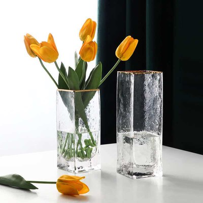 Nordic Entry Luxury Glass Vase Hydroponic Transparent Phnom