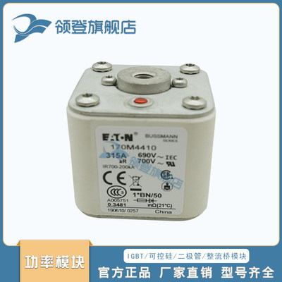 快速熔断器保险丝170M446