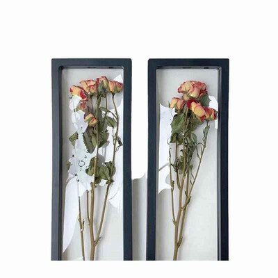 Valentines Day Rose Dried Flower Storage Photo Frame Displa