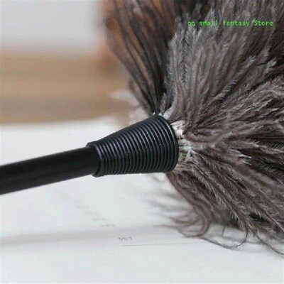 R3MA Ostrich Duster Cleaning Brush with Long Handle