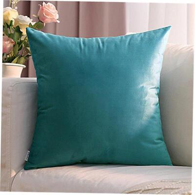 Solid-colored throw pillows Pink Cushions velvet backrest