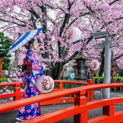 HOT 5/6 Pack 12Inch Red Cherry Flowers Paper Lantern White R