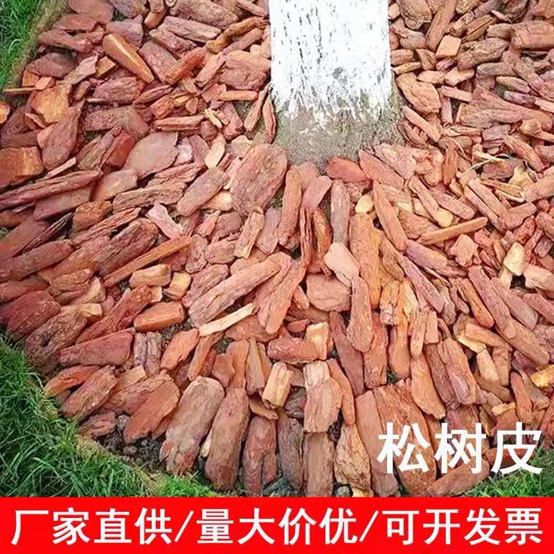 打磨松鳞松树皮有机覆盖物树穴树坑花园庭院别墅造景土壤覆土抑草