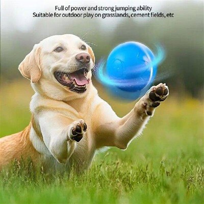 Interactive Dog Toys Dog Ball Bite Resistant Dog Toy Balls