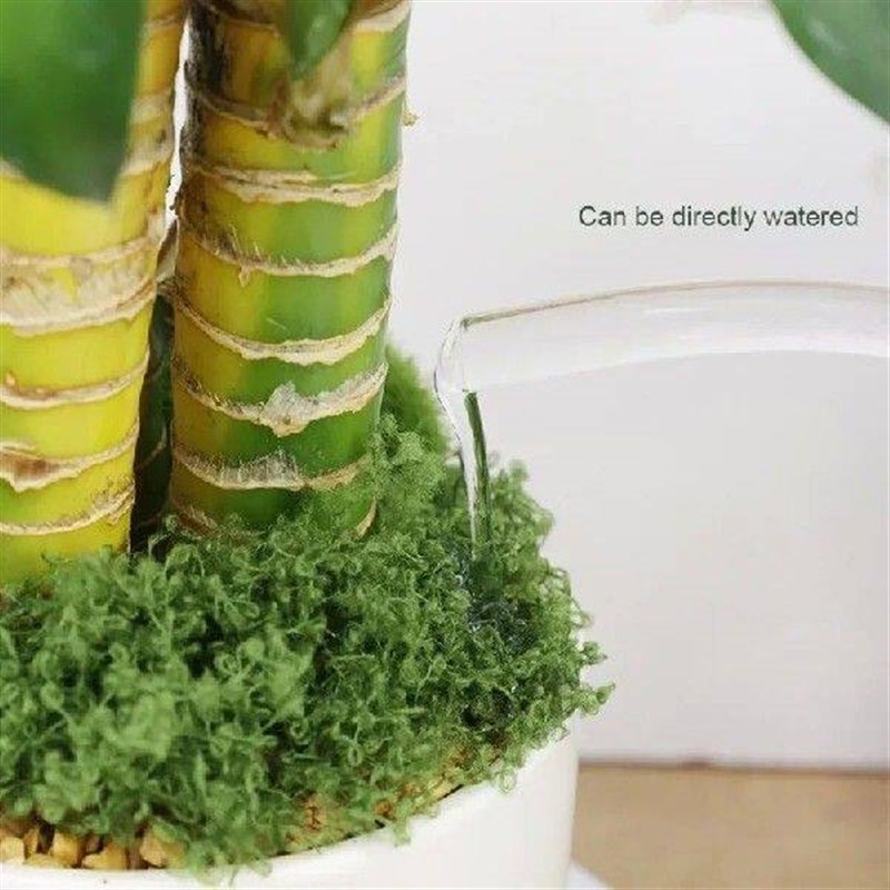 500/30G Artificial Green Moss Lawn Micro Landscape Eternal