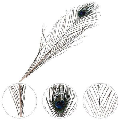 10 Pcs Decor Peacock Vase Decorative Plumes Filling Party
