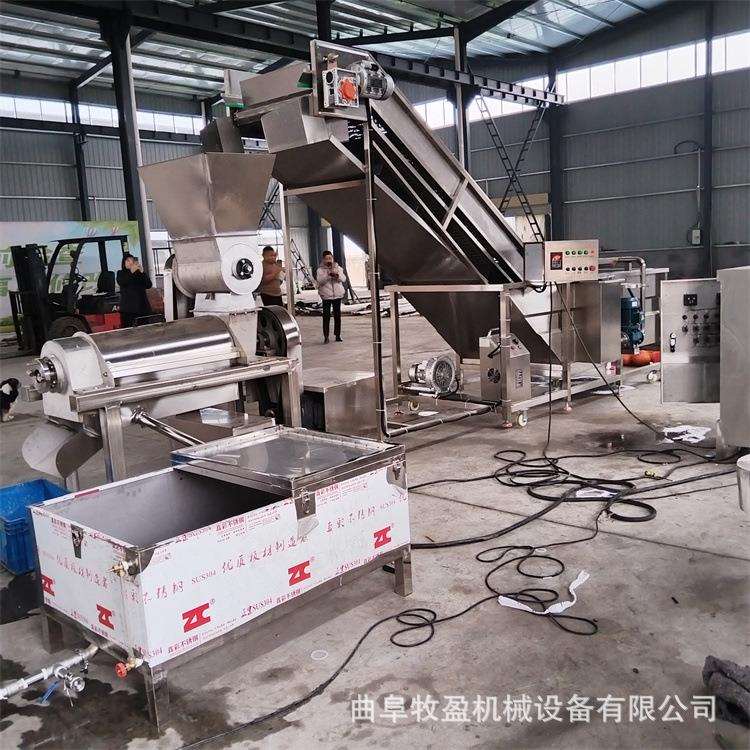 工业不锈钢余甘子榨汁机 大型水果汁压榨机 番茄梨生姜榨汁设备
