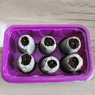20 Cells Seedling Trays Seed Starter Box Plant Flower Grow