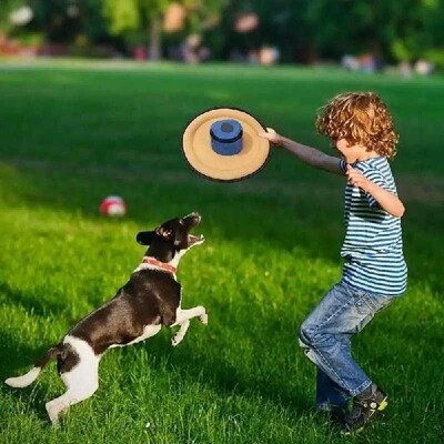 Dog Flying Disc Soft Indestructible Dog Games Canvas