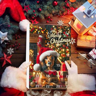 2D Dachshunds Christmas Advent Calendar 2024 With Dachshunds