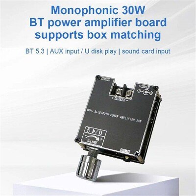 ZK-301B Mono 30W Amplifier Board Support Wireless TWS