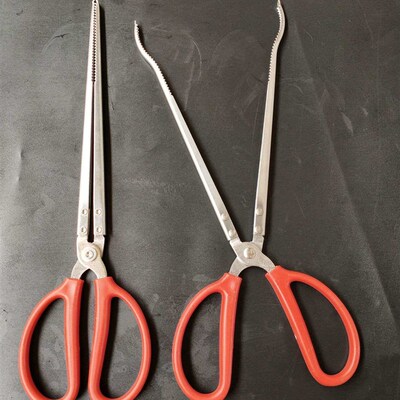 Monopterus albus clip anti-slip anti-off lengthened thickene