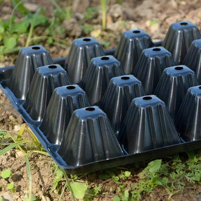Tray for seedling cultivation, deep seedling trays for trees
