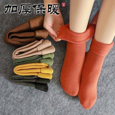 Socks with plush insulation, plush and thick socks加厚袜子