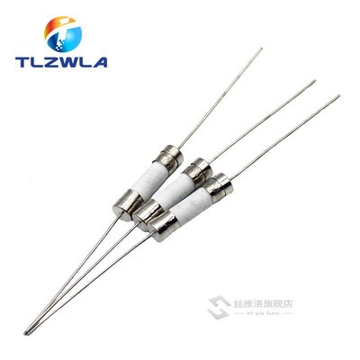 10PCS 5*20mm Ceramic fuse Slow Blow tube fuse With a pin 5x2