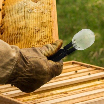 Tool Beekeeping Tools Equipment Keepers Cage Catcher Clips