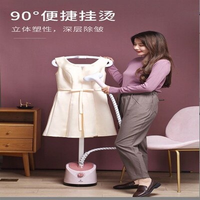 electric compact iron steam soleplate clothes steamer 电熨斗