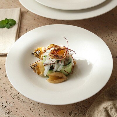 9-inch pure white ceramic cold dish Western pasta plate