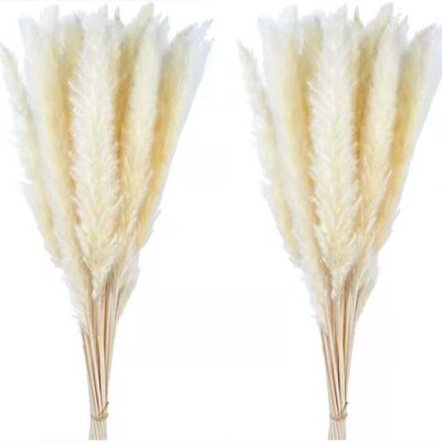 Small Reed Everlasting Flower Bouquet Christmas Diy Decorati