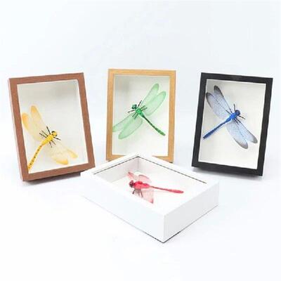 3D+Hollow+Photo+Frame+Specimen+Wood+Picture+Frame+Internal