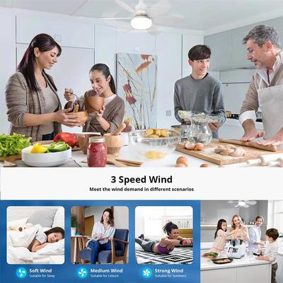 IRALAN Modern ceiling led light fan 52CM 42CM silent with re