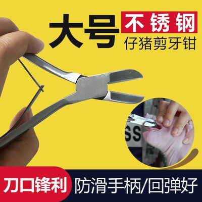 Veterinary Stainless Steel Tooth Scissors, Large Tooth