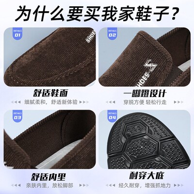 2025 Spring Mens Shoes Casual Canvas Shoes Slipon Daddy Shoe