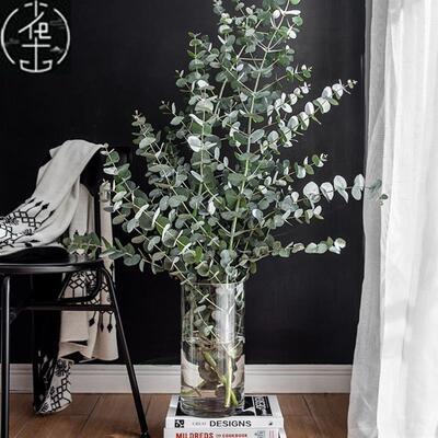 Vase furnishing articles flower arranging transparent glass