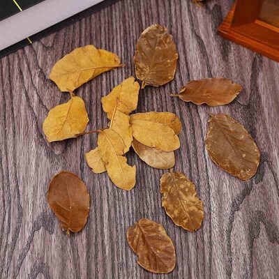 10pcs 1-18CM pine cone Christmas pendant prop Dried flower