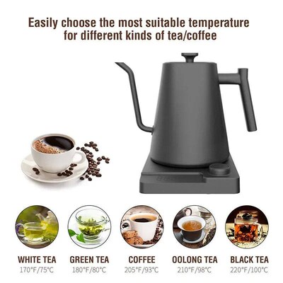 1200W Gooseneck Electric Kettle with Temperature Control Ele