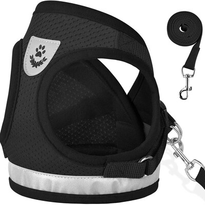 Cat Harnesses and Puppy Harness with Leashes Set Escape Proo