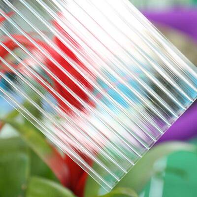 聚酸碳酯双层阳光板透明中空尺板4mm6m规m小寸格pc阳IAF光板出口