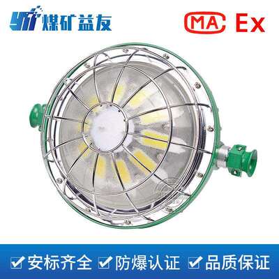 DGS55/127L(A)矿用隔爆型LED巷道灯55W大功率煤矿照明灯LED防爆灯