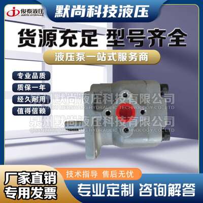 JUNTAI俊泰 俊菱牌油泵 长期供应HGP-2A-2/2.5/3R~12R 高压齿轮泵