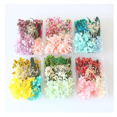 Preserved Flower Diy Dried Flower Material Package Holiday G