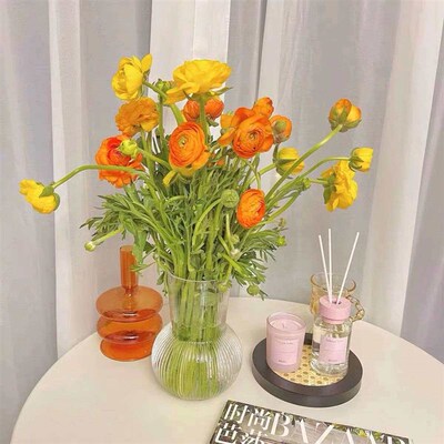Nordic Style Simple Transparent Vase Ins Feng Shui Flowers G