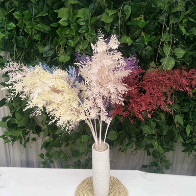 Rime Flower Grass Simulation Rime Grass Mist Flower Simulati