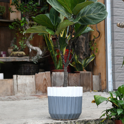 large flower pot plastic  es green  POTS