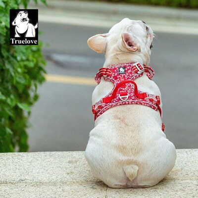 True love Hund Weste Dog Harness Nylon Hund Gurt und Leine S