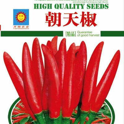 Tomato Seed garden plants Bonsai organic fruit and vegetabl