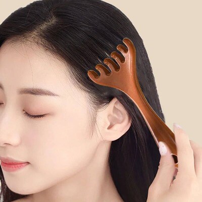 Head Caring Comb Meridian Massage Comb Six-Claw Gua Sha Scra